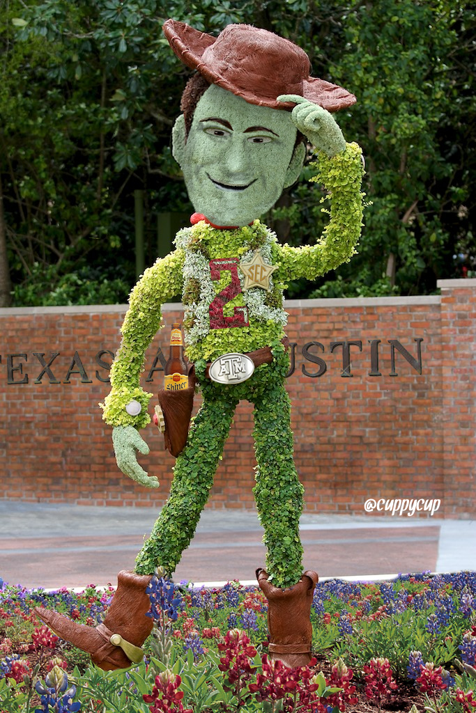 PLANTanswers: Plant Answers > Maroon Bluebonnet Comes to University of ...